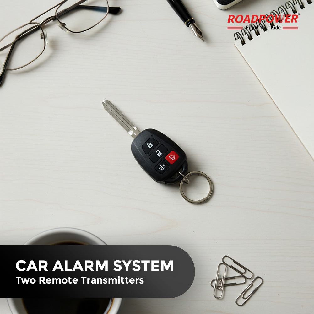 Roadpower (RP-RE-SCORP-319) Milano Scorpion Car Alarm, Advanced ...