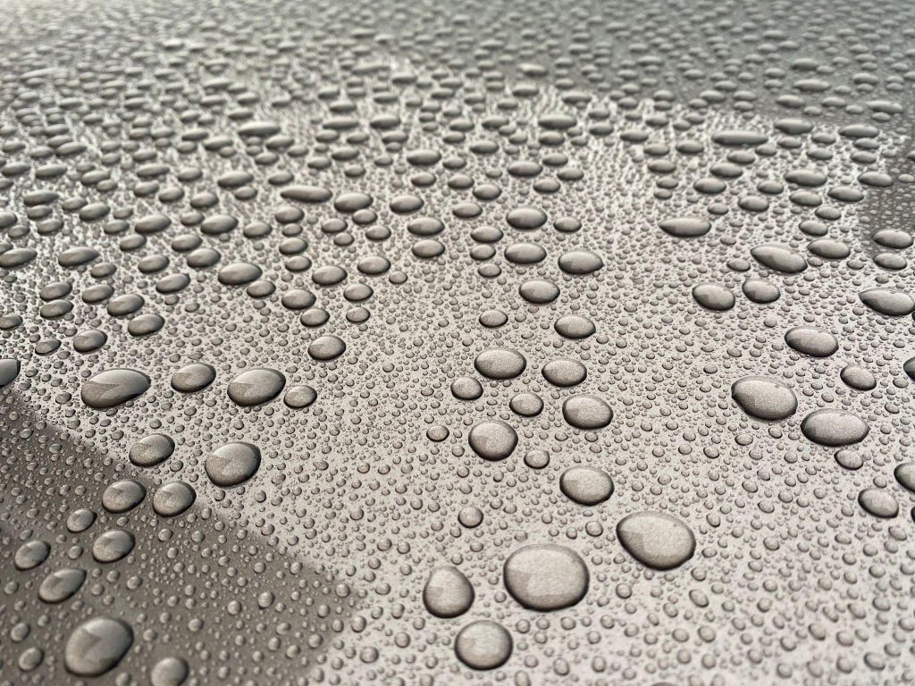 Car Protection Comparison: Interior or Exterior First?